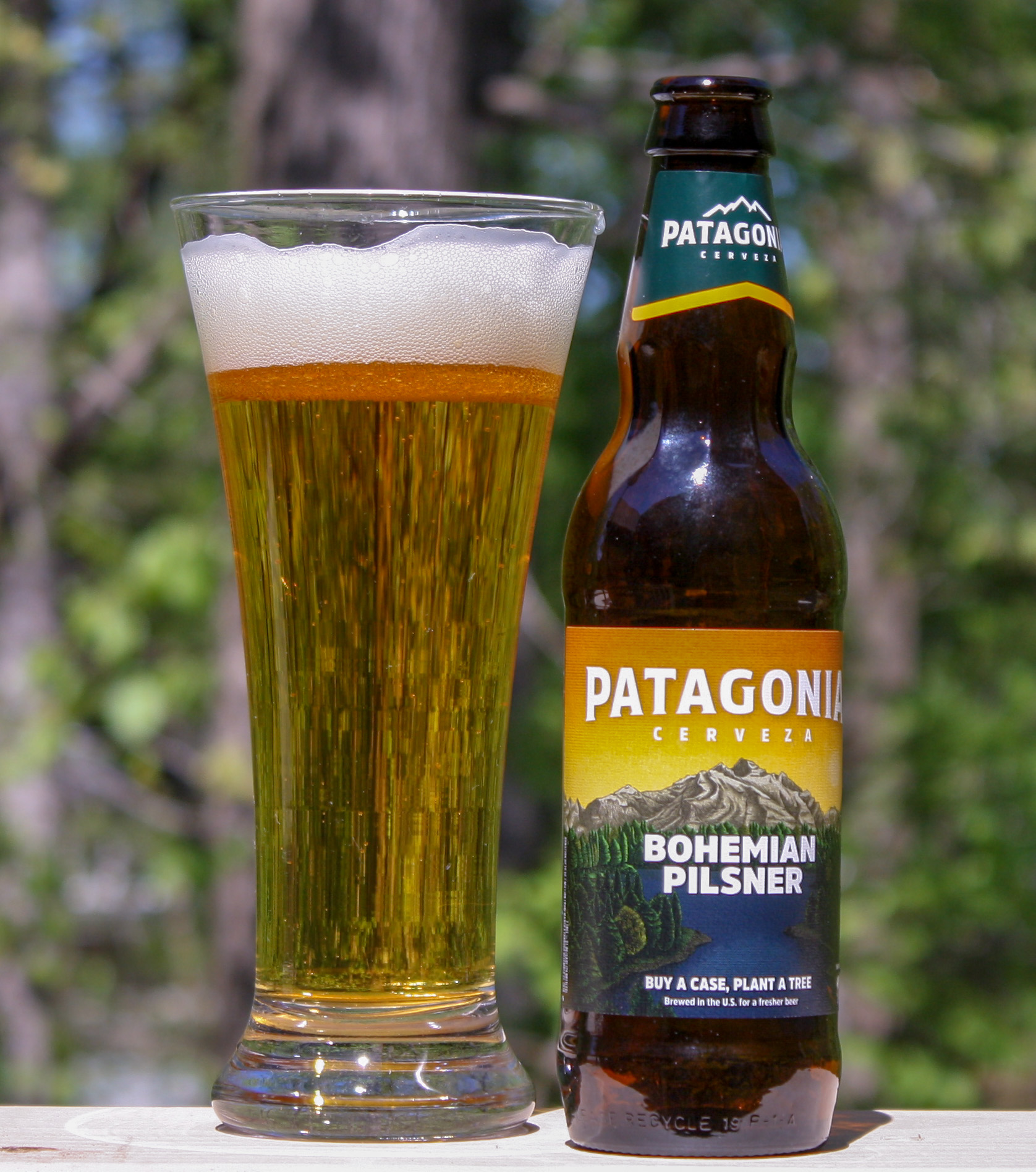 Patagonia Bohemian Pilsner – Let Us Drink Beer