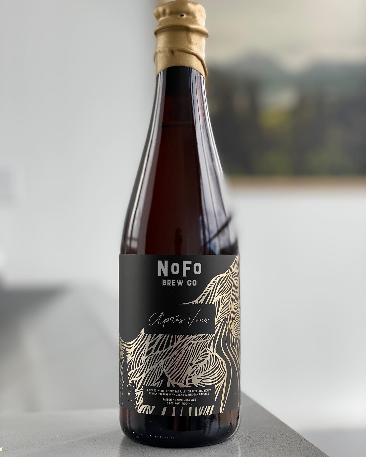 First Bottle Release from NoFo Brew Co. – Let Us Drink Beer